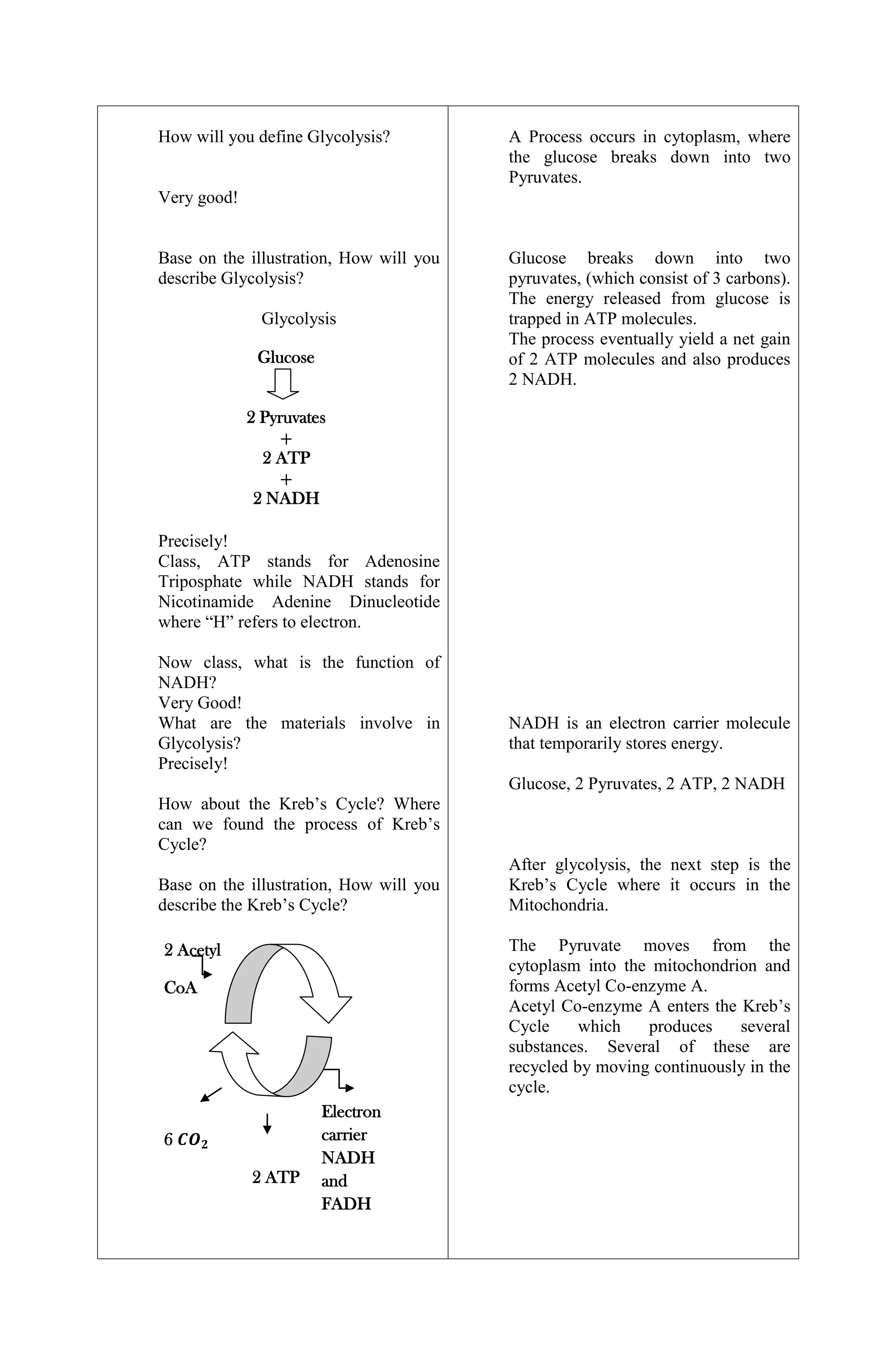 Aerobic respiration ok | DOCX