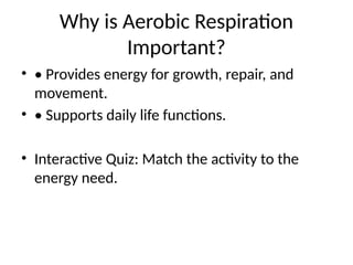 Aerobic_Respiration_(cellular respiration) PPT.pptx