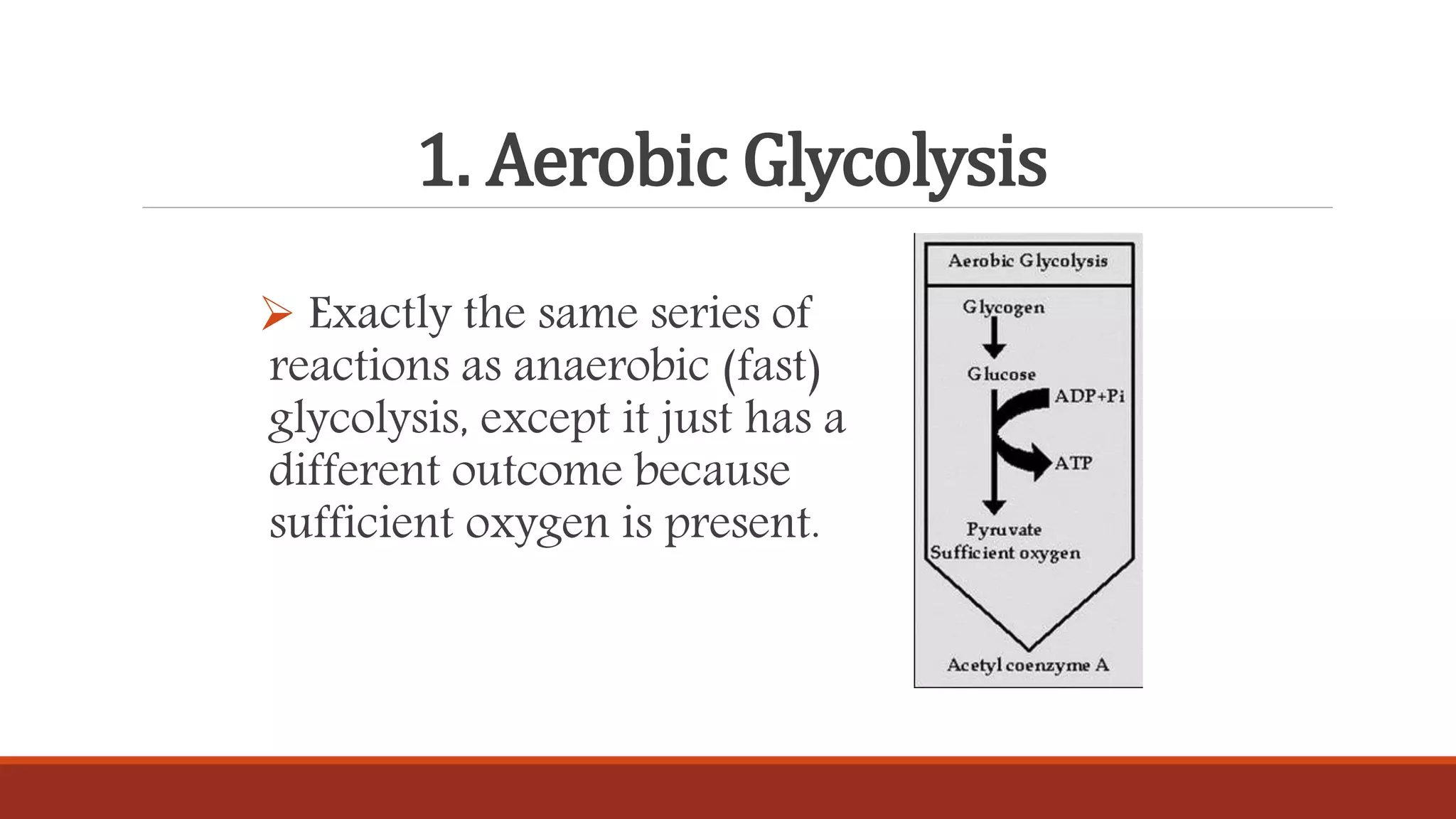 Aerobic system | PPTX
