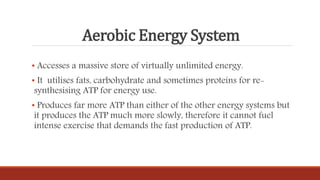 Aerobic system | PPT
