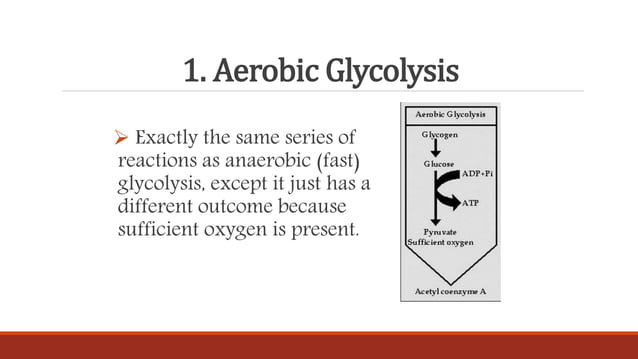 Aerobic system | PPT