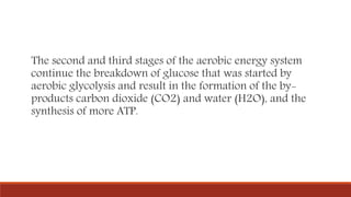 Aerobic system | PPT