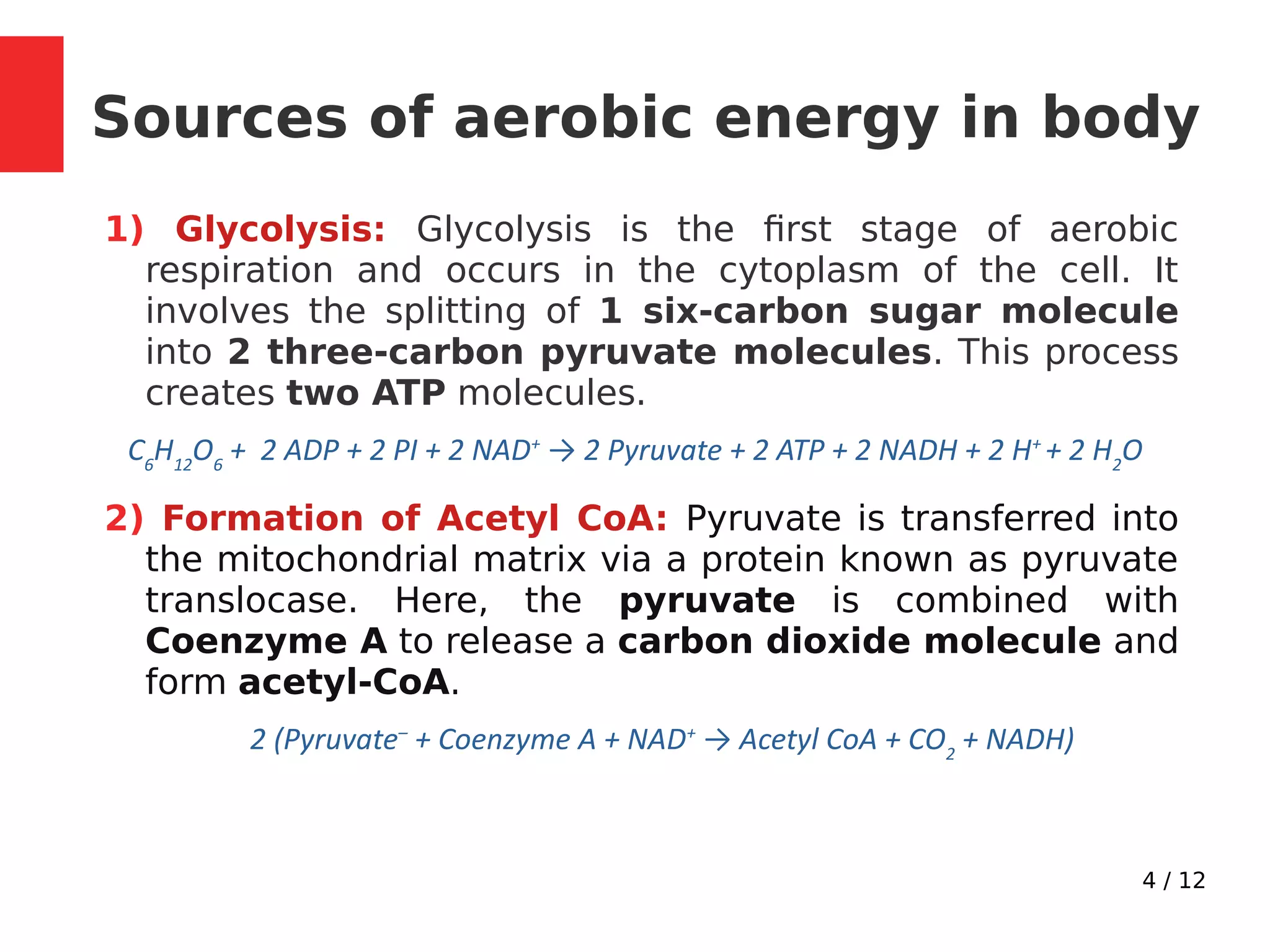 Aerobic training and aerobic energy source | PDF
