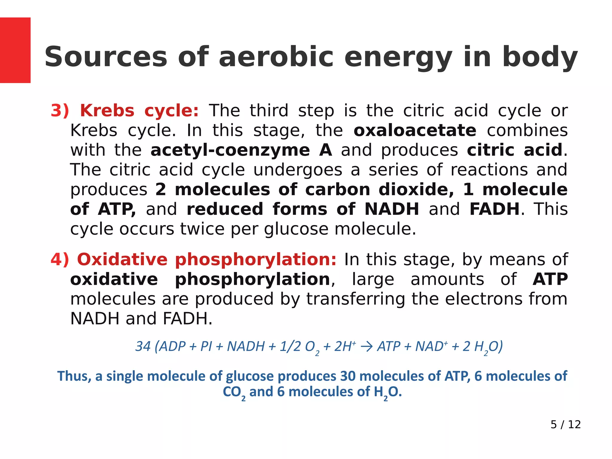 Aerobic training and aerobic energy source | PDF
