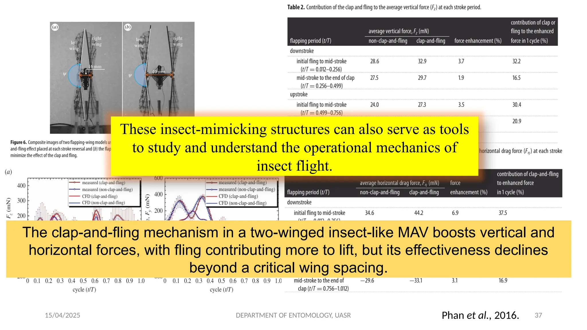 "Biomimicry in aerodynamics: the insights from insects wing design" | PPTX