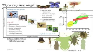 "Biomimicry in aerodynamics: the insights from insects wing design" | PPTX