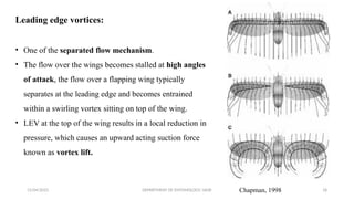 "Biomimicry in aerodynamics: the insights from insects wing design" | PPTX
