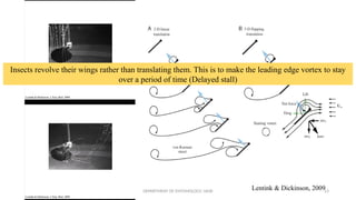 "Biomimicry in aerodynamics: the insights from insects wing design" | PPTX