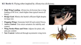 "Biomimicry in aerodynamics: the insights from insects wing design" | PPTX
