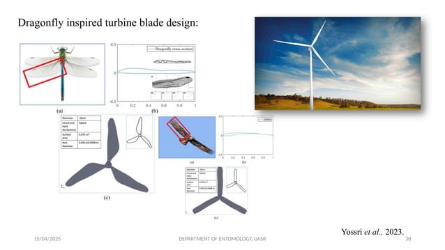 "Biomimicry in aerodynamics: the insights from insects wing design" | PPT