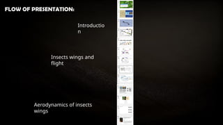 "Biomimicry in aerodynamics: the insights from insects wing design" | PPTX
