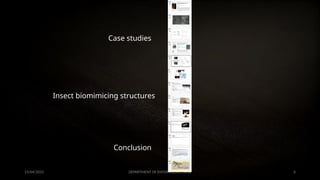 "Biomimicry in aerodynamics: the insights from insects wing design" | PPTX