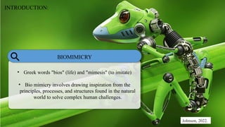 "Biomimicry in aerodynamics: the insights from insects wing design" | PPTX