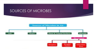 Aeromicroflora of hospitals,Environmental microbiology, pptx | PPTX