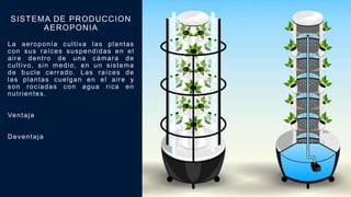 AEROPONIA sistema de huertos verticales.pptx