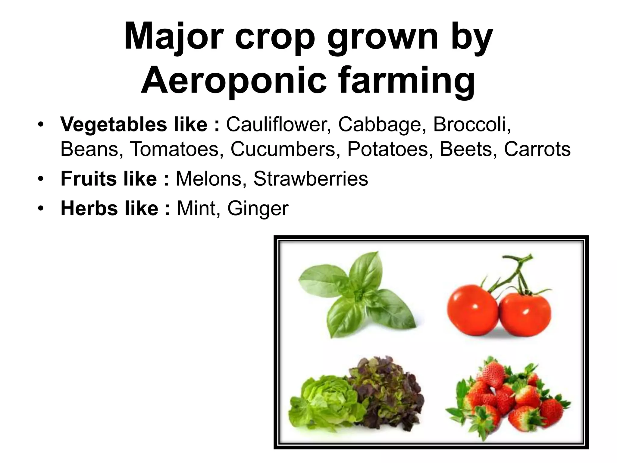 Aeroponic farming | PPTX