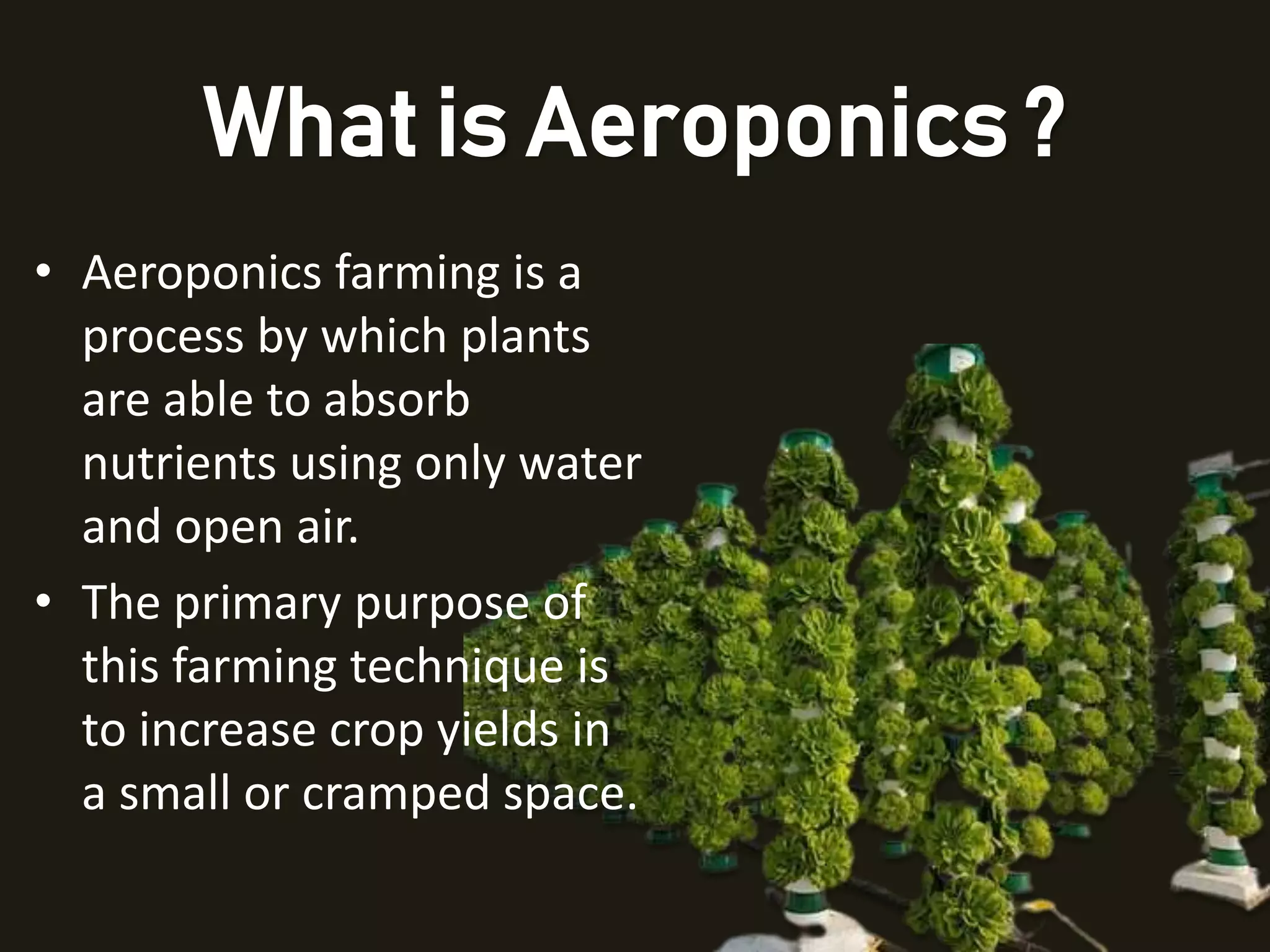Aeroponics.pptx