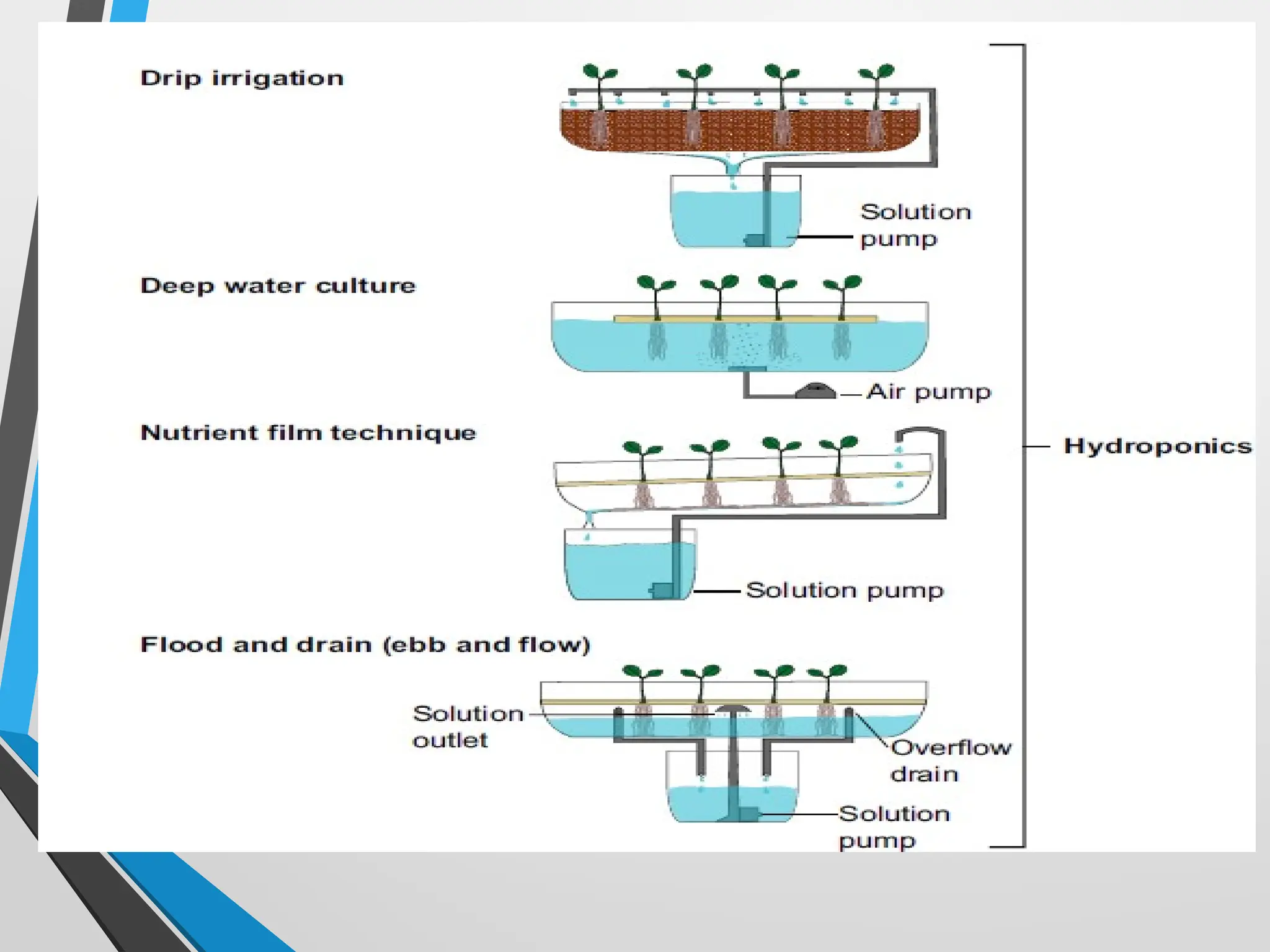 Aeroponics; a cultivation method_Presentation | PPTX