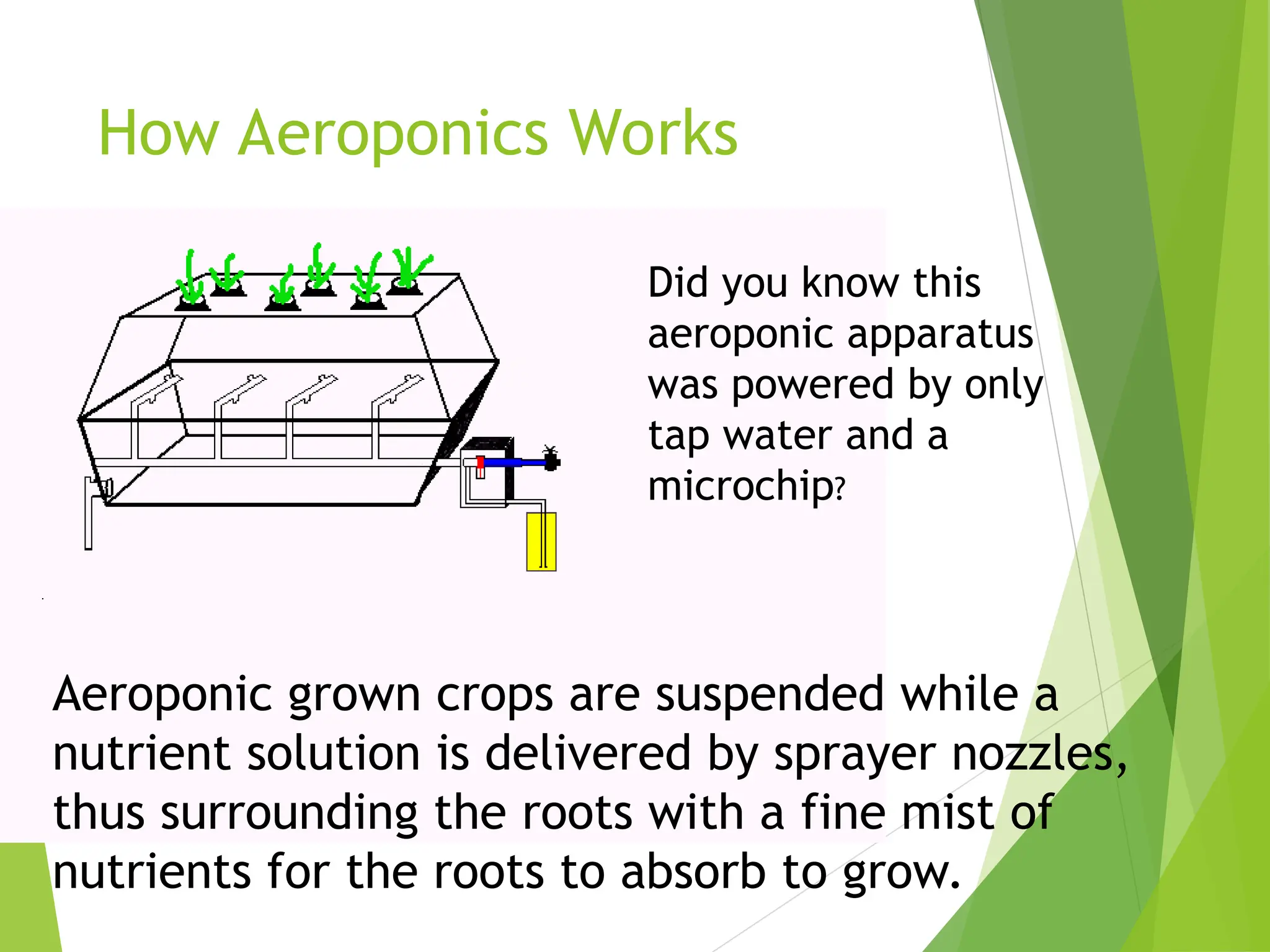 AEROPONICS SFCC hydriponic clases Caribbean University | PPT ...