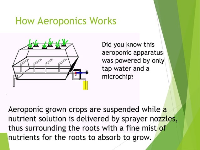 AEROPONICS SFCC hydriponic clases Caribbean University | PPT