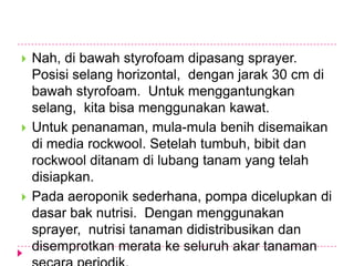 Aeroponik | PPTX