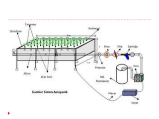 Aeroponik | PPTX