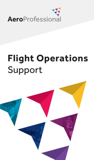 AeroProfessional Flight Operations Support | PDF