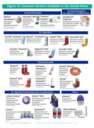 A Guide to Aerosol Delivery Devices for Respiratory Therapists | PDF