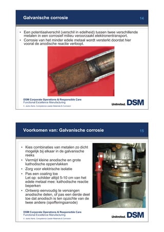 Jacko Aerts - DSM | PDF