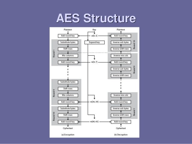 Aes