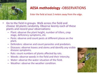 Aesa based phm to promote sustainable agric | PPTX