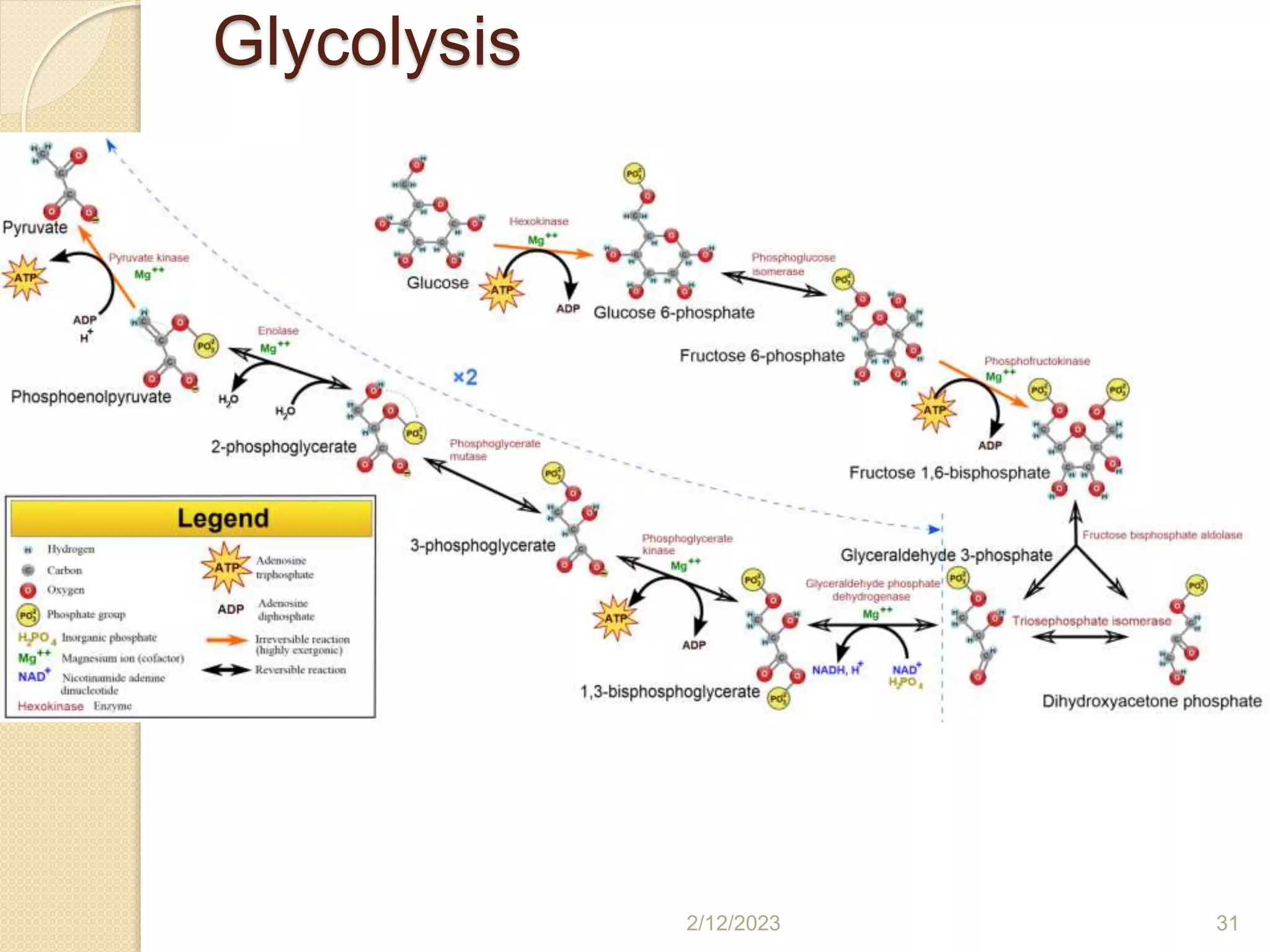 AES E01 MAturity Indices.pptx