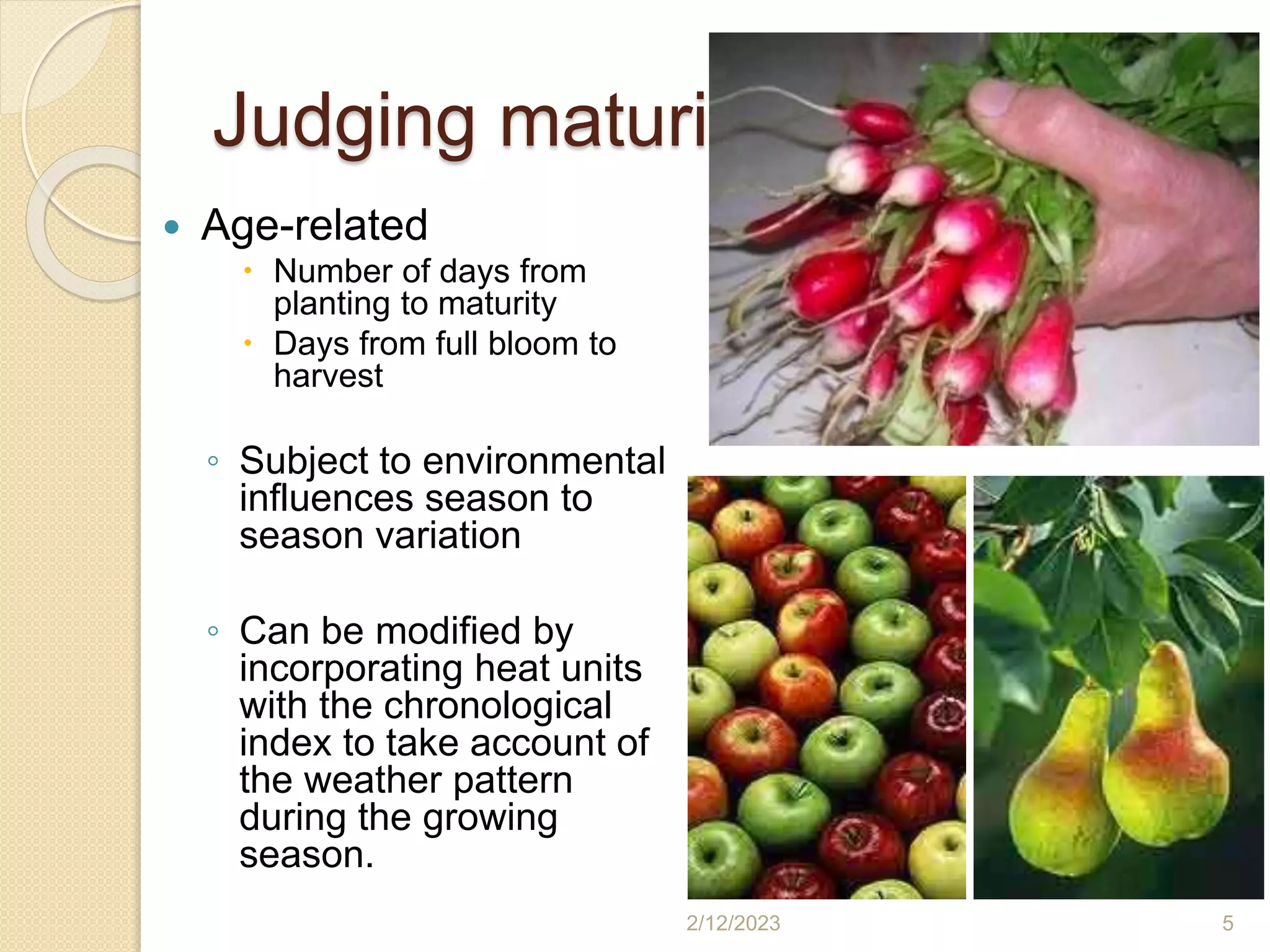 AES E01 MAturity Indices.pptx
