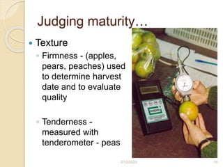 AES E01 MAturity Indices.pptx