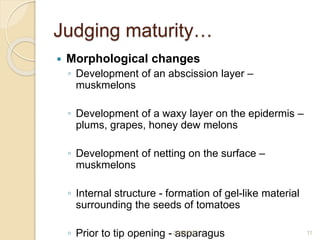 AES E01 MAturity Indices.pptx