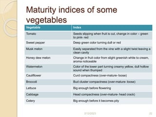 AES E01 MAturity Indices.pptx