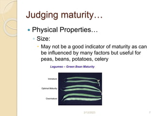 AES E01 MAturity Indices.pptx