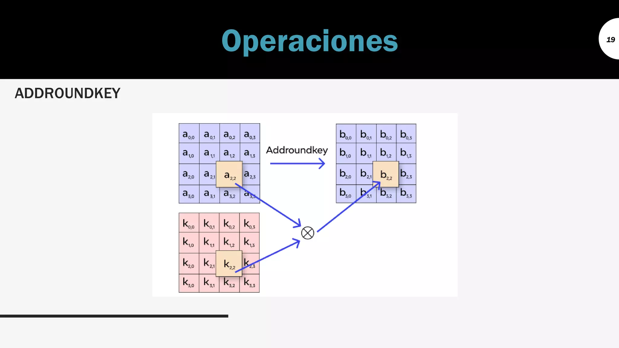 AES encriptacion.pdf