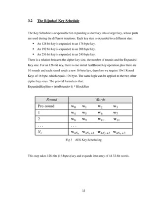 Advanced Encryption Standard (AES) | PDF | Information and Network ...