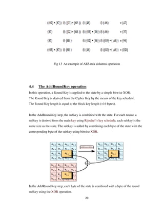 Advanced Encryption Standard (AES) | PDF | Information and Network Security | Computing