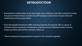 Acute encephalitis syndrome medicine seminar.pptx