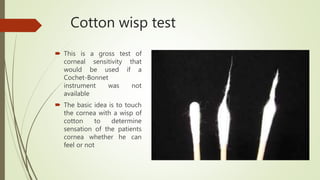 Aesthesiometer | PPTX