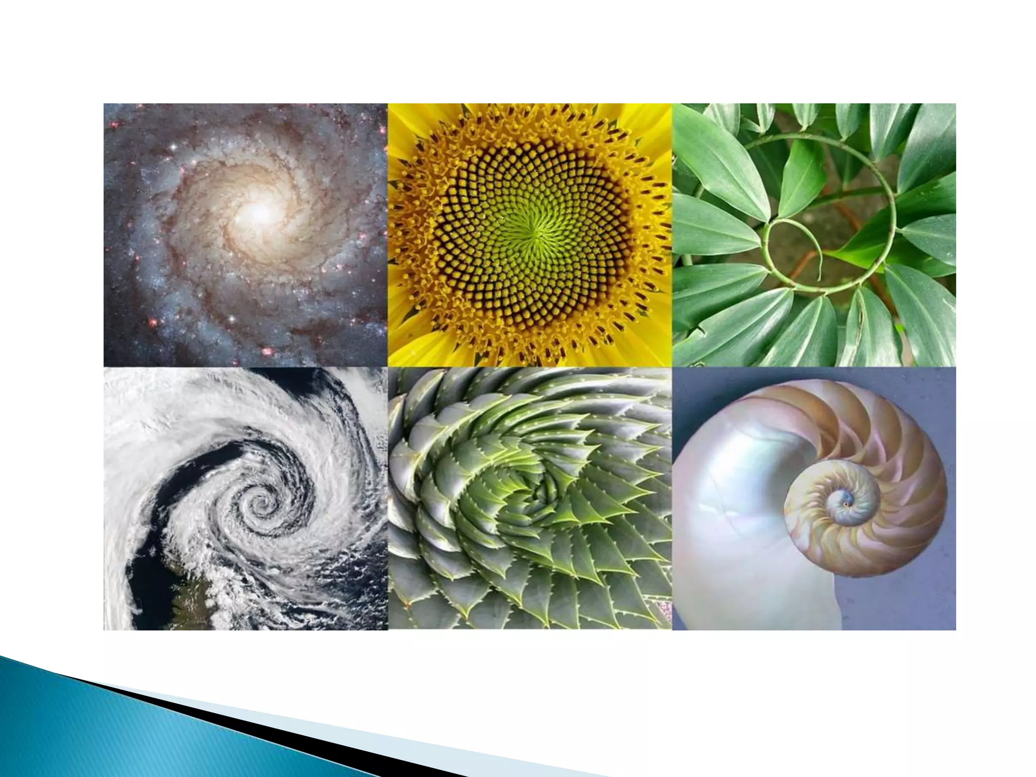 Cultural & Aesthetic Values of Mathematics | PPTX