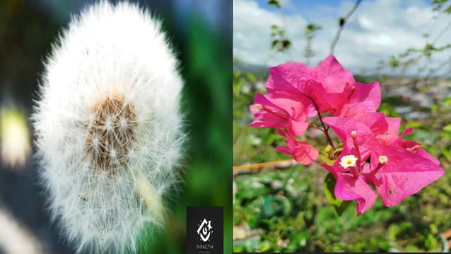 Aesthetics-The-Philosophy-of-Art-and-Beauty.pptx