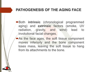 Aesthetics in oculoplastic | PPTX