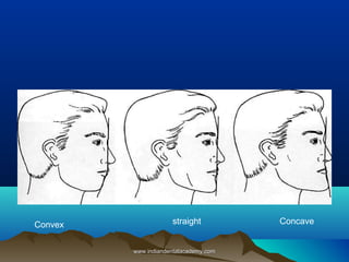Concave Vs Convex Face