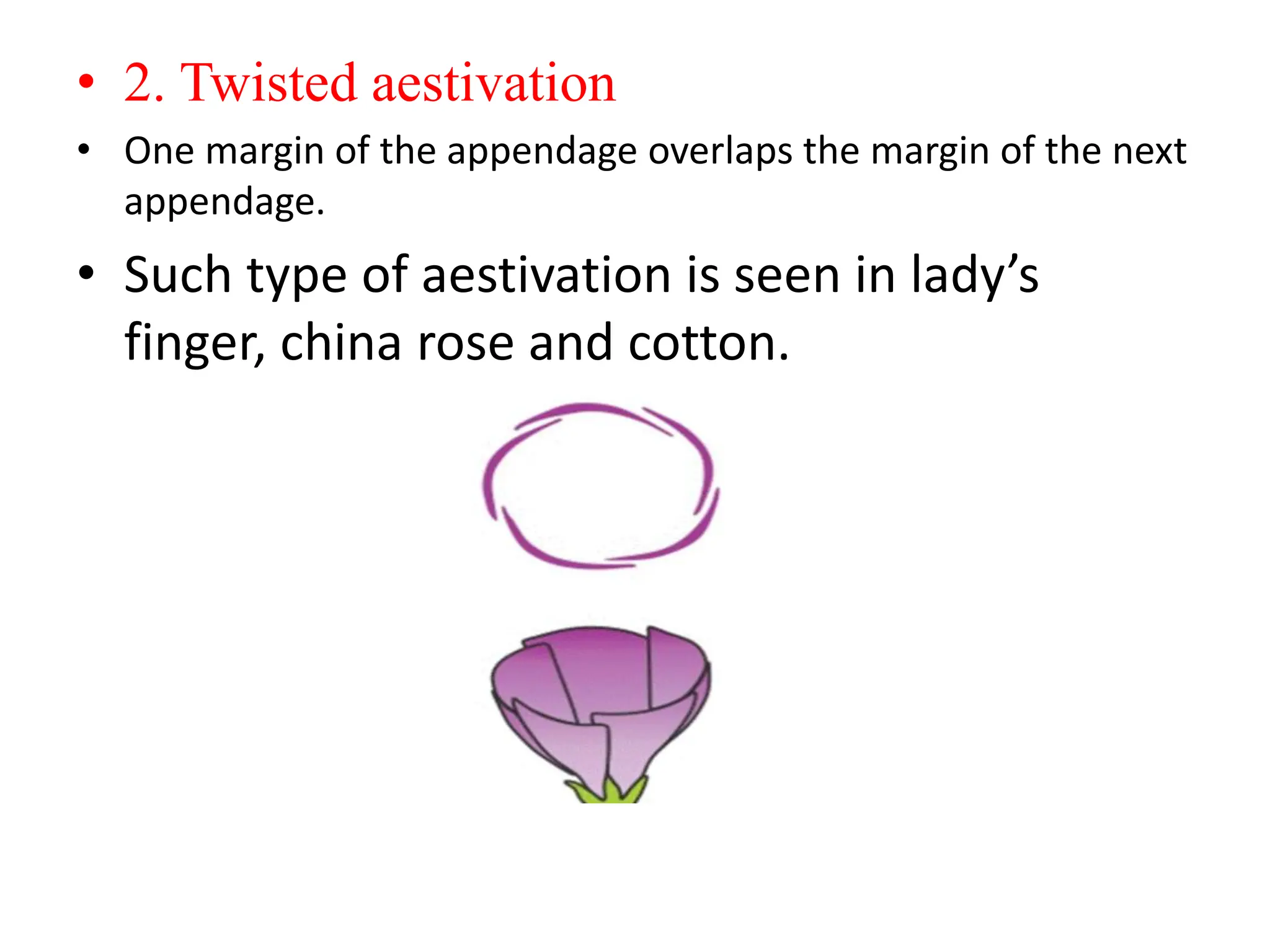 aestivation.pptx explanation of aestivation | PPTX