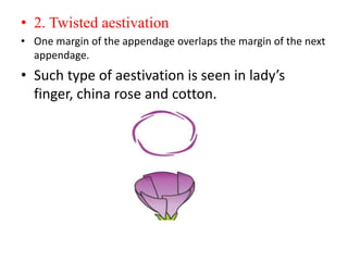 aestivation.pptx explanation of aestivation | PPTX