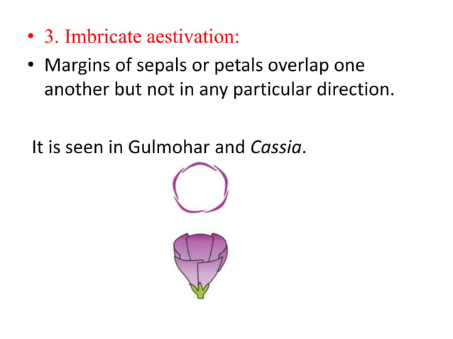 aestivation.pptx explanation of aestivation | PPTX | Gardening | Home ...