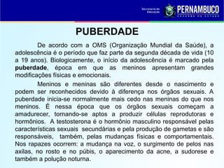 A estrutura aparelho reprodutor masculino.ppt